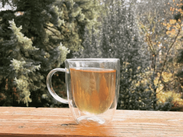 Cómo hacer té de caléndula - Succulent Avenue